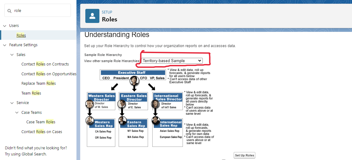 Introduction to role hierarchy in salesforce - Learn Salesforce with ...