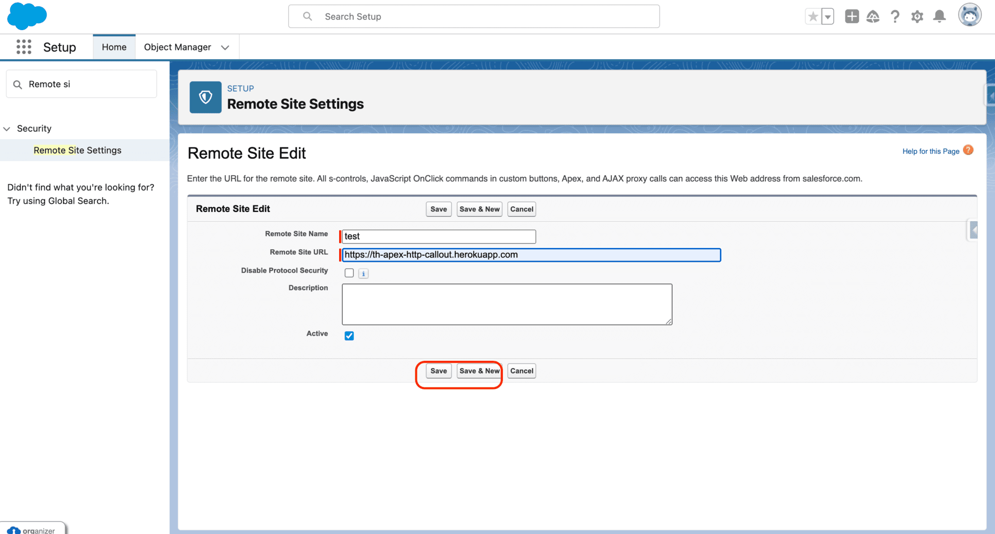 What is Remote Site Setting in Salesforce - Learn Salesforce with ...