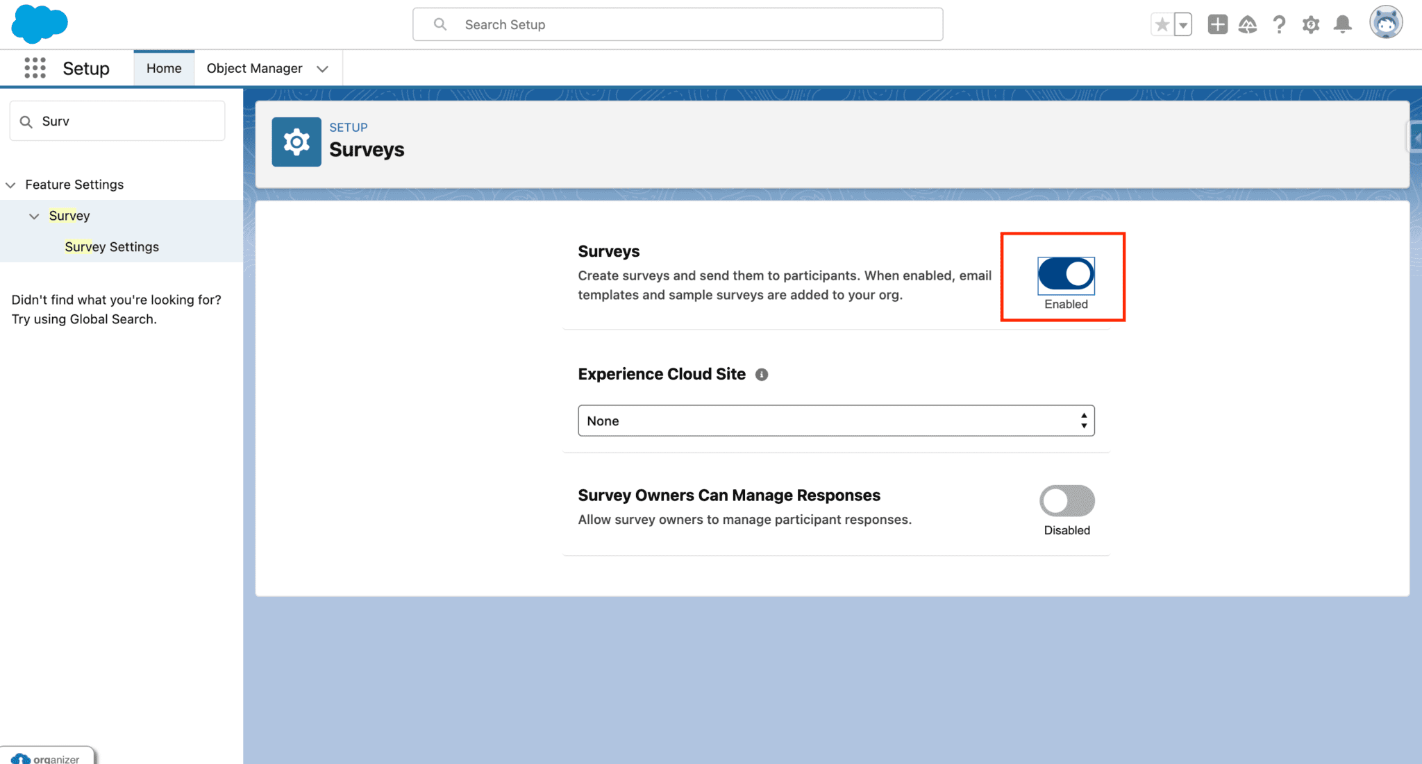 How to Create a Survey in Salesforce - Learn Salesforce with Anuhya Digital