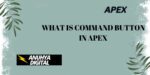 What is Command Button in Apex - Learn Salesforce with Anuhya Digital