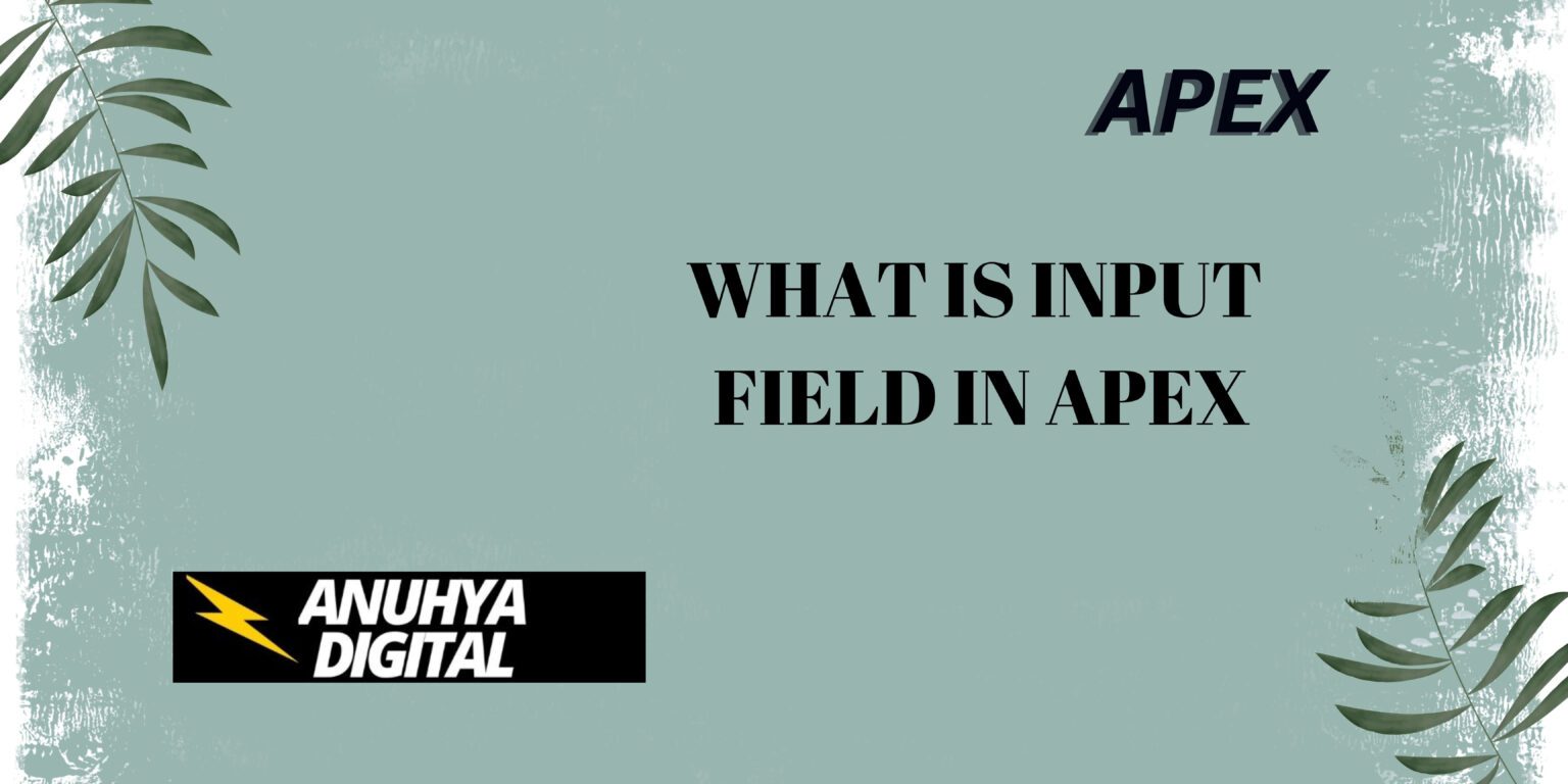 What Is Input Field In Apex Learn Salesforce With Anuhya Digital