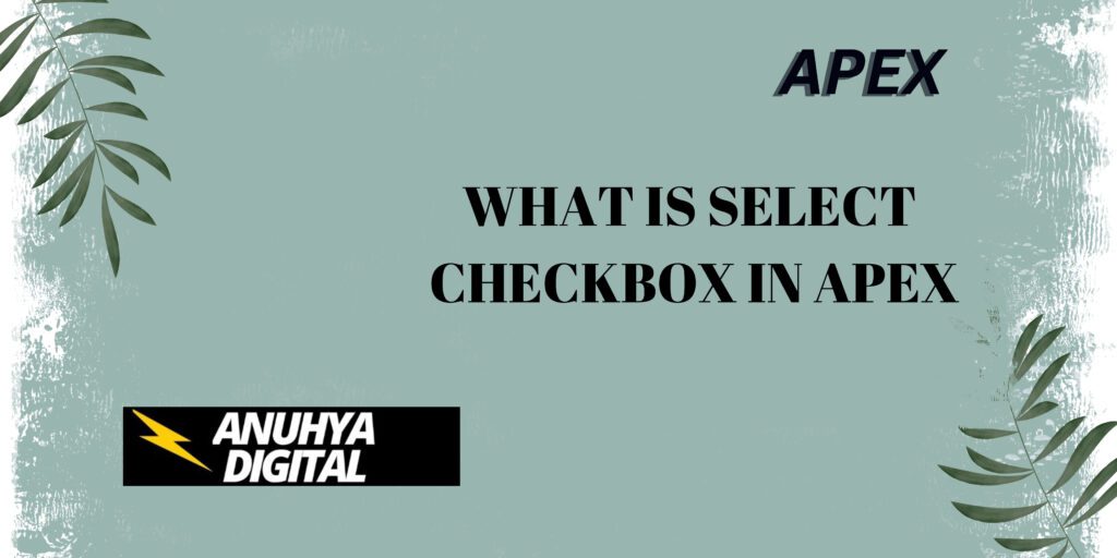 What Is Select Checkbox In Apex Learn Salesforce With Anuhya Digital